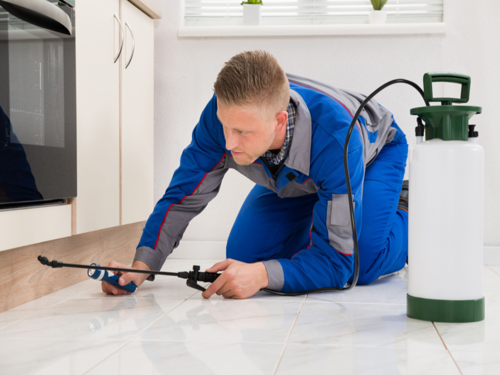 Top Tips & Tricks to Prevent Insect Infestations - Housing Programs